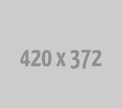 Diesel Software Solutions Store